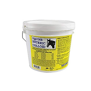 TechMix Equine Enteric Colloid