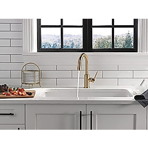 Delta Faucet Trinsic Gold Bar Faucet with Pull Down Sprayer, Bar Sink Faucet Single Hole, Wet Bar Faucets with Pull Down Sprayer, Prep Sink Faucet, Faucet for Bar Sink, Champagne Bronze 9959-CZ-DST