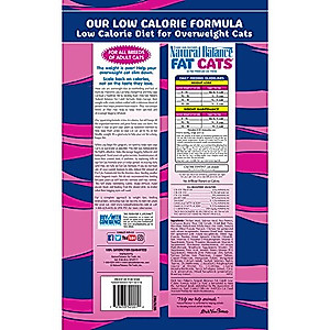 Natural Balance Fat Cats Chicken Meal Salmon Meal, Garbanzo Beans, Peas & Oat Groats Cat Food Low-Calorie Dry Cat Food for Overweight Adult Cats 6-lb. Bag