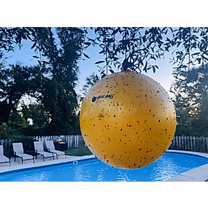 Bug Ball Gnat Ball 4 Pack Starter Complete kit - Gnats, House Fly, No-See-Um, Aphids whiteflies, and Love Bugs Trap