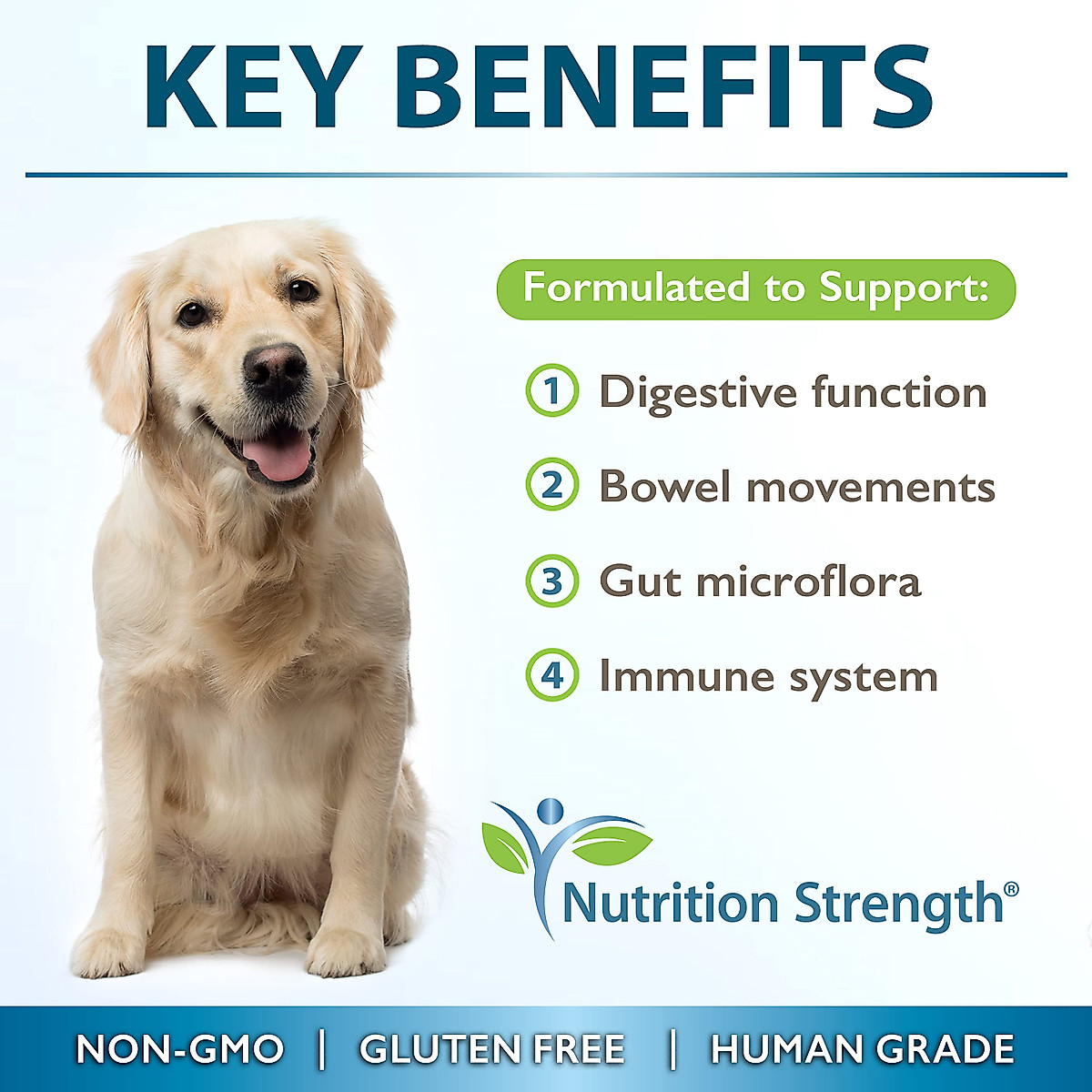 Nutrition Strength Psyllium for Dogs Complex to Promote Your Pet's Gut Health, Stimulate Healthy Digestion, Support Normal Bowel Function, with Psyllium + Inulin, Bromelain & Protease, 90 Soft Chews