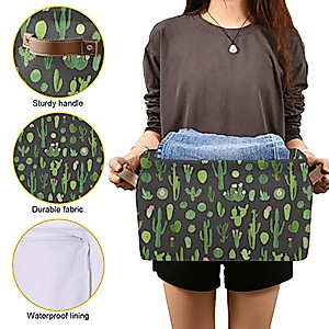 ALAZA Green Plant Cactus Foldable Storage Box Storage Basket Organizer Bins with Handles for Shelf Closet Living Room Bedroom Home Office 2 Pack