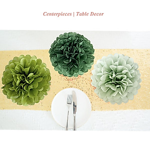 ANSOMO Sage Green Tissue Paper Pom Poms 20 Pcs Wedding Party Decorations Ivory Tan Boho Flowers Birthday Baby Shower Wild Safari Jungle Botanical Greenery 14 12 10 6 Inch Wall Hanging Décor Supplies