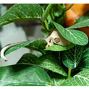 MRTIOO Reptile Artificial Plants, Terrarium Plants Decorations Supplies, Amphibian Habitat Hideout Tank Accessories, Rainforest Ground Plant (H)