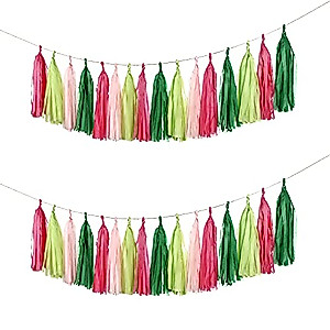 GUZON Pack of 20 Watermelon Party Tassel Garland DIY Kit Balloon Tail Tassels Melon Birthday Summer Party Decorations