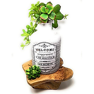 THY COLLECTIBLES Cedar Wood Potted Plant Stand Garden Pots Containers Vase Fishbowl Wooden Stand 11.5"