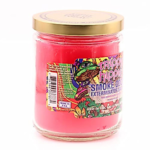 Smoke Odor Exterminator 13 oz Jar Candles Trippy Hippie, Pack of 2
