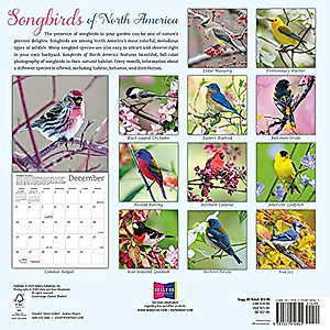 2021 Songbirds of North America 16-Month Wall Calendar