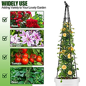 MYard 2 Pack Garden Obelisk Trellis for Climbing Plants Outdoor, 6.5FT Tall Rustproof Metal Plant Support Trellis, Garden Tower Trellis for Potted Plants Flowers Vines Vegetable Indoor Outdoor