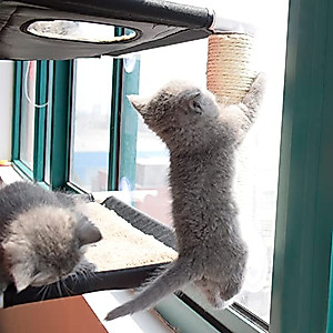 Cat Window Perch, Cat Hammock Window, Free Fleece Blanket Extra Large Sturdy Cat Bed Cat Resting Seat Space Saving for Indoor