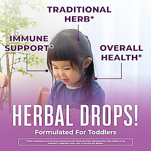 MaryRuth's Toddler Elderberry Syrup | USDA Organic Elderberry | Sugar Free Kids Immune Support Supplement for Ages 1-3 Years | Clean Label Project Verified®, Vegan, Non-GMO, Gluten Free | 1 Fl Oz