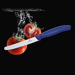 Victorinox Swiss Classic Tomato and Table Paring Knife, 4.3 inches, Blue