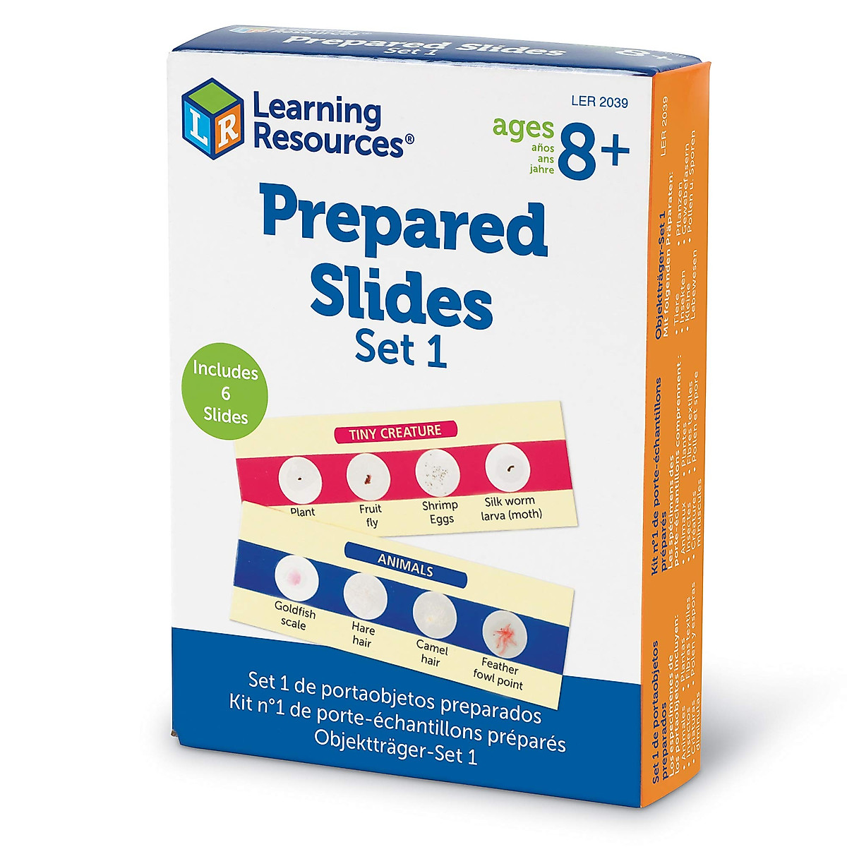 Learning Resources Prepared Slides Set 1, 24 Specimens