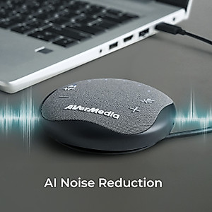 AVerMedia AS315 Portable Speakerphone Works with Zoom, Teams, Skype, USB-C Docking Station, USB Hub, Portable Conference Speaker and Microphone, AI Noise Reduction