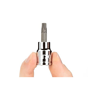 TEKTON 3/8 Inch Drive Torx Bit Socket Set, 12-Piece (T10-T60) | SHB91103