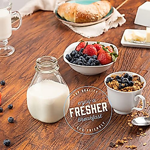 Kitchentoolz 16 Oz Glass Milk and Creamer Bottle with Caps - Perfect Milk Container for Refrigerator Storage - 16 Ounce Short and Wide Glass Milk Bottle with Tamper Proof Lid and Pour Spout - Pack of 1