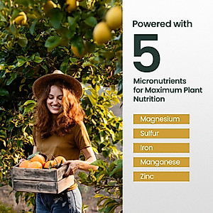 16oz Citrus Fertilizer & Fruit Tree Fertilizer - Makes 32 Gallons of Plant Fertilizer for Fruit Trees and Citrus Trees, Premium Citrus Tree Fertilizer and Liquid Plant Food, Water-Soluble Fertilizer