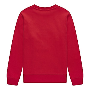 Champion Boys Two Piece Classic Core Colors Hooded And Crewneck Sweatshirt And Fleece Jogger Sweatpants Infant Toddler Sets (12 Months, Scarlet/Crew)