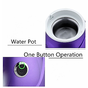 Hann Facial Steamer Professional Sinus Steam Inhaler Face Skin Moisturizer Facial Mask Sauna Spa Steamers with Aromatherapy Diffuser Humidifier Function (Purple)