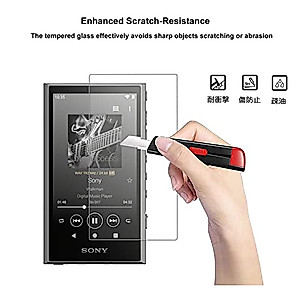 Soft Clear TPU Protective Shell Skin Case Cover for Sony Walkman NW-A300 Series NW-A306 NW-A307 (Clear Black case and Glass)