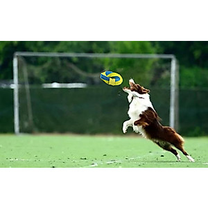 FELIXPAW Dogs Annular Toy Sensitive Colors and Protruding Shape Modeling Design Stimulate Dogs Long Time Playing Easier to Cleaning Teeth, for Small & Medium Dogs Training and Playing,Nylon