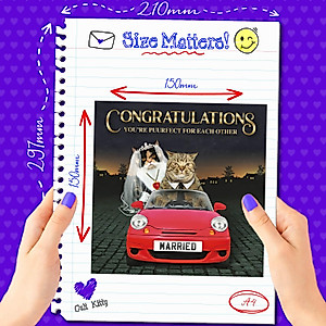 Cult Kitty - Cat Congrats, You Got Married - Just Married Card - Cute Wedding Card for Bride and Groom - Funny Wedding Card Congratulations for Him & Her - Beautiful Wedding card for Couple