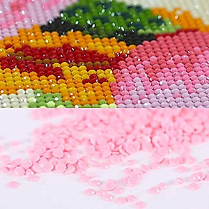 Diamond Painting Kits for Adult Kids,Diamond Painting Arts Number Kits,Perfect Home Wall Decor, Great Gift for Family and Friends 15.7"X11.8"