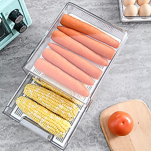 BigTron Food Storage Double Layer Container with Lids Removable Drain Tray for Refrigerator, Food Fruit Vegetables,fridge organizer Stackable Meal Fresh Keeper Bins Clear