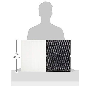 Genuine Winix 116130 Replacement Filter H for 5500-2 Air Purifier , White