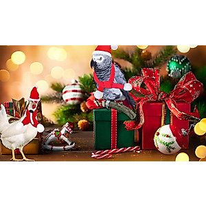 Christmas Pet Chicken Hat Scarf Set for Hens, 12 Pieces Santa Hat Cloak with Adjustable Chin Strap Cute Decorative for Duck Hens Rabbit Kitten