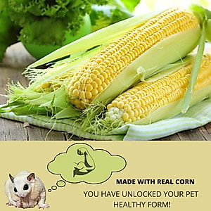 PETIVORE Premium Freeze Dried Corn for Sugar Glider and Small Exotic Pet - Made with Corn - Sugar Glider, Hamster, Squirrel, Chinchillas, Marmoset Happy Treats, Snacks and Food (17g)