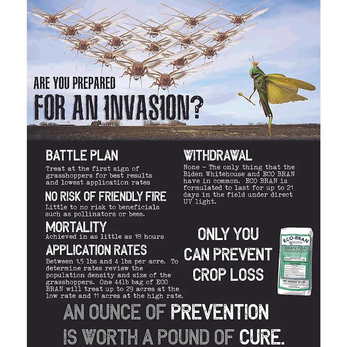 Generic Eco-Bran Broad Spectrum Grasshopper Insecticidal Bait 44 lbs - Contains 2% Carbaryl - Control of Grasshoppers, Cutworm, Locust, Mole Crickets, Sow Bugs (Roly-Poly), Ants, Beetles & More!…