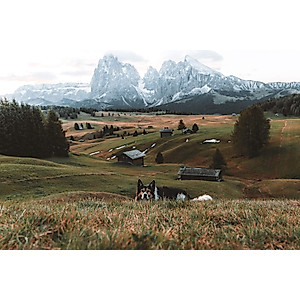 TAMRON 17-70MM F/2.8 DI III-A VC RXD FOR SONY - REFURBISHED