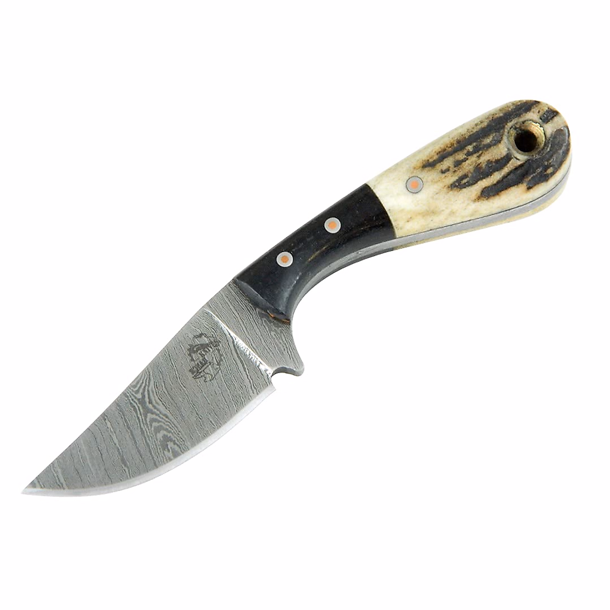 Knives Ranch Neck Knife, Small EDC Fixed Blade, Stag Handle and Fine Quality Sheath (3133-SG)