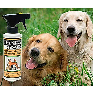 Banixx Pet Care 8oz for Ear Infections, Hot Spots, Itchy Dry Skin, Ringworm, Yeast Infections. Safe Around The Eye.