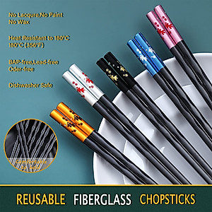 HuaLan Fiberglass Chopsticks Series - Japanese Non-Slip Chopstick, Reusable Chop Sticks Dishwasher Safe, 5 Pairs, Gift Set, 9.9 Inches