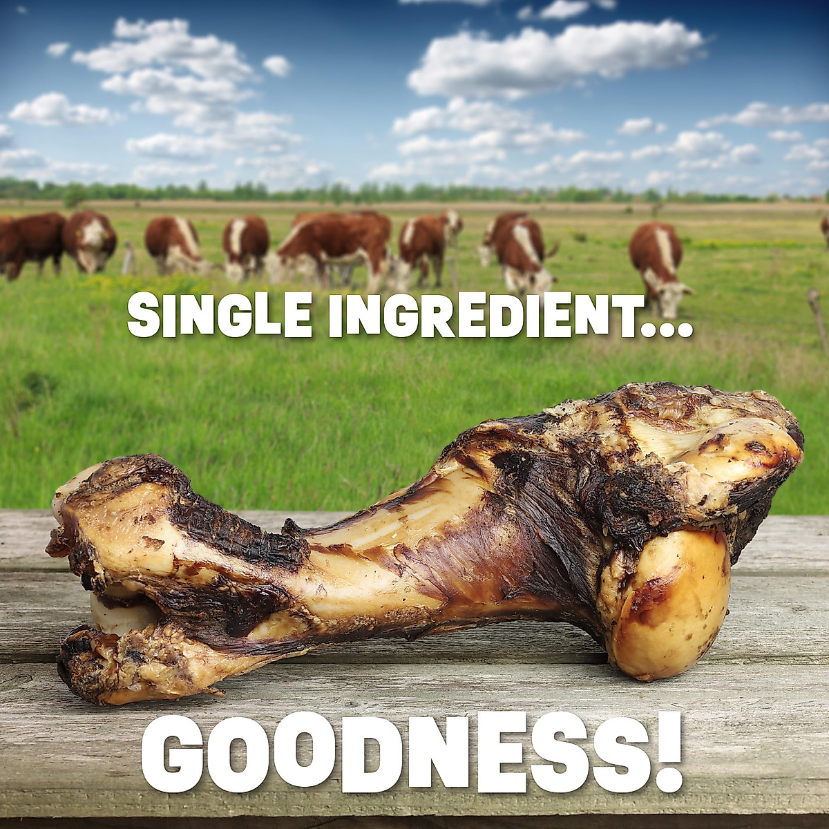 PUPDAWGS Dog-Bones-for-Aggressive-Chewers | 11-13" Hickory Smoked Flavor Beef Humerus Bone | Dog-Bones-for-Large-Dog | All Natural Dog Bone Treats Made in The USA (Single Bone)