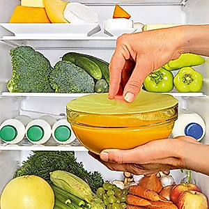 Charles Viancin Lid Large Lilly Pad 11"