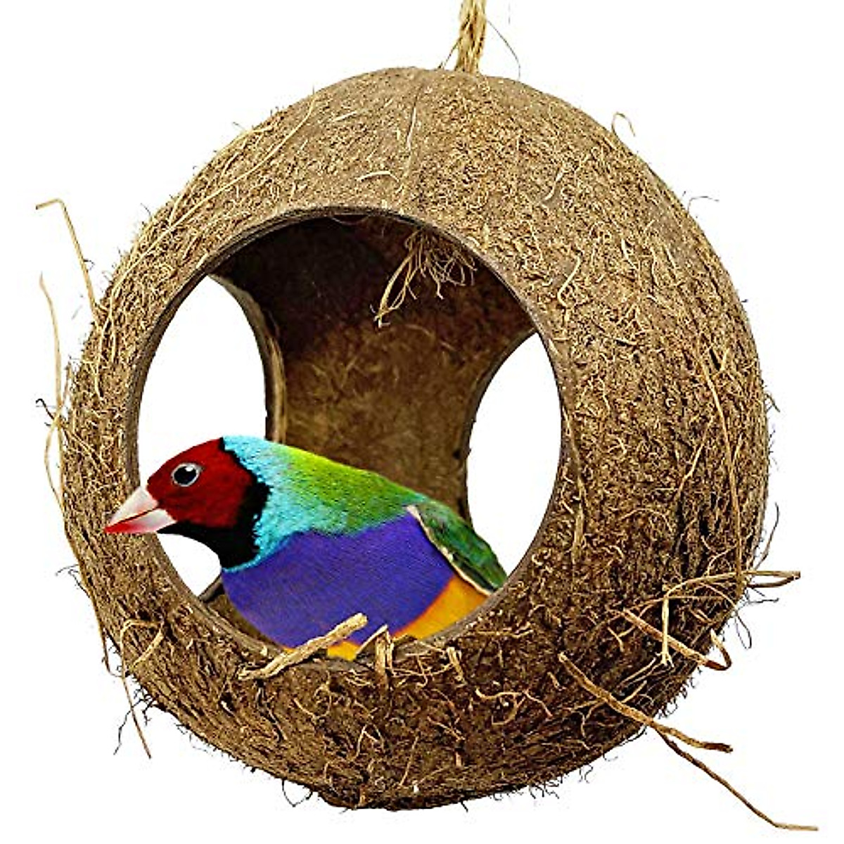 Bonka Bird Toys 2114 Three Hole Coco Hut Nest
