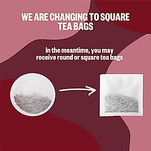 Organic Hibiscus Tea Bags | 100 Tea Bags | Eco-Conscious Tea Bags in Kraft Bag | Raw from Egypt | by FGO