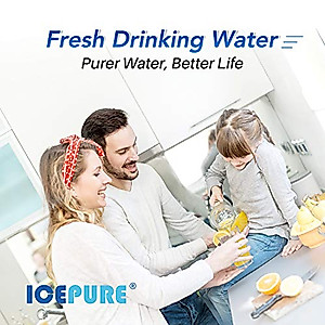 ICEPURE 5 Micron 10" x 4.5" Whole House Water Filter Compatible with GE FXHTC, GXWH40L, RFC-BBSA, W50PEHD, GXWH35F, GNWH38S, Dupont WFHD13001, R50-BB, Pack of 2