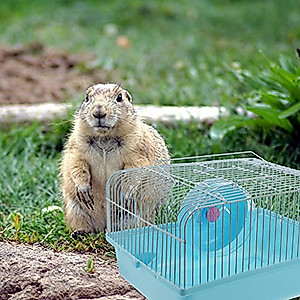 Balacoo Hamster Habitat Cage Small Animals Hideaway Hamster Exercise Wheel with Food Box Water Feeder Small Animal Cage Portable Pet Carrier for Outdoor Travel