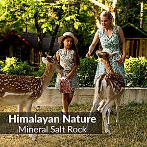 Himalayan Nature 100% Natural Solid Mineral Rock Salt - Salt Mineral Chunks animals