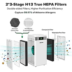 Gocheer Air Purifiers for Home Large Room, CADR 1000 Covers 2500 Sq ft, Captures 99.98% of Particle, H13 True HEPA Filter for Allergies Pets Smoke Asthma Quiet Extra Large Room Air Purifiers