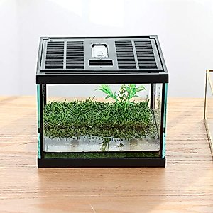crapelles Pac Frogs Glass Terrarium Feeding kit Tank, Waterproof,for Small Amphibians, Insect, Horned Frogs. Waterweed / Prairie Style Habitat,with Green Artificial Turf Pad, (excluding Animals)