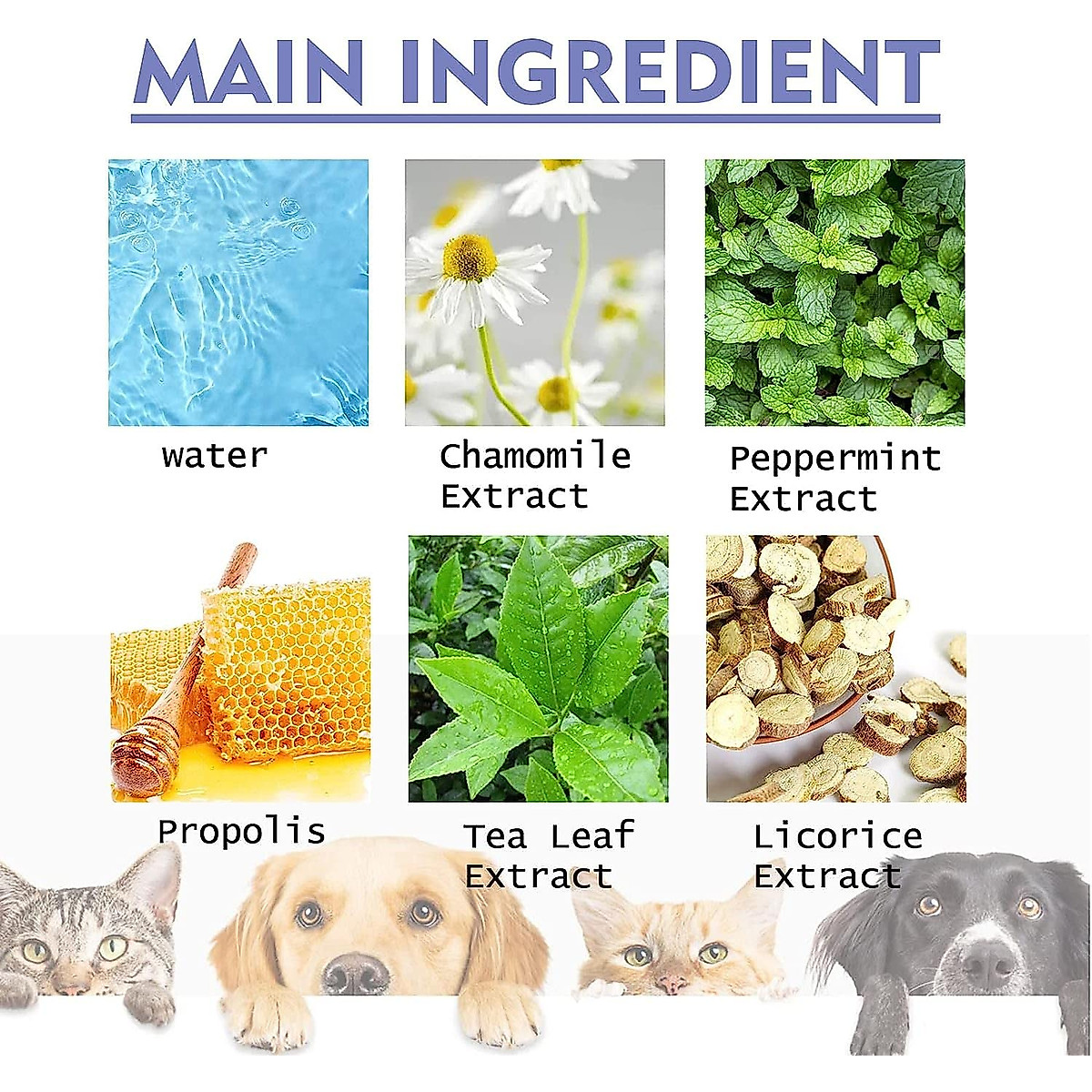 ANRUI Teeth Cleaning Spray for Dogs & Cats,Pet Oral Spray Clean Teeth,Pet Breath Freshener Spray Care Cleaner,Targets Tartar & Plaque Eliminate Bad Breath (1PCS)