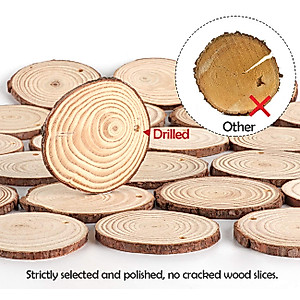 50Pcs Wood Slices 2.4"-2.8" Unfinished Natural Wood Rounds with Pre-drilled Hole and 66Feet Twine String, Wood Slices for Wood Burning Painting DIY Crafts Christmas Ornaments Party Wedding Decor