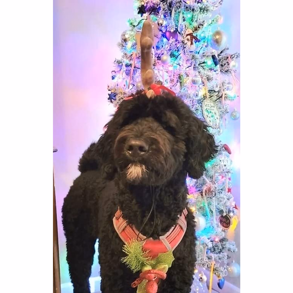 Dog Antler Headband Reindeer Horn Headpiece Christmas Dog Costume Accessories Headwear Halloween Pet Costume