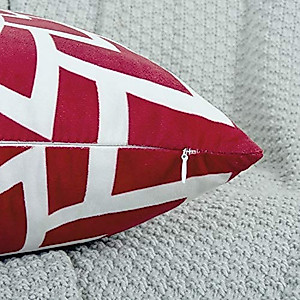 TEAGAN Throw Pillow Covers, 2PCS Cushion Covers with Flower Print, Throw Pillow Covers for Home Decorative Bedroom Living Room, Home Garden Couch Bed Sofa Chair, 20X20 Inch, Deep Red