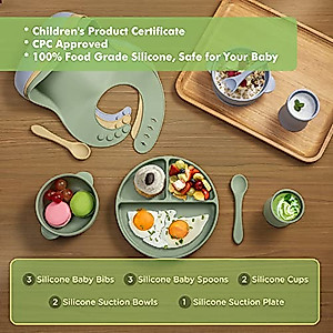 Hepotk Silicone Baby Feeding Set - 11 Pcs Baby Led Weaning Supplies - Food Grade Toddler Plates Bowls Set - Suction Bowl Divided Plate Bib Cup Spoons for Baby Kids
